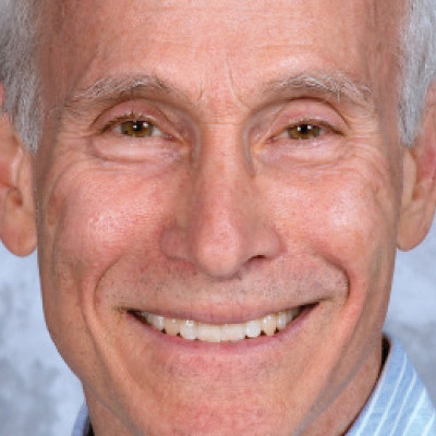 David Lieberman - Practical Gastro